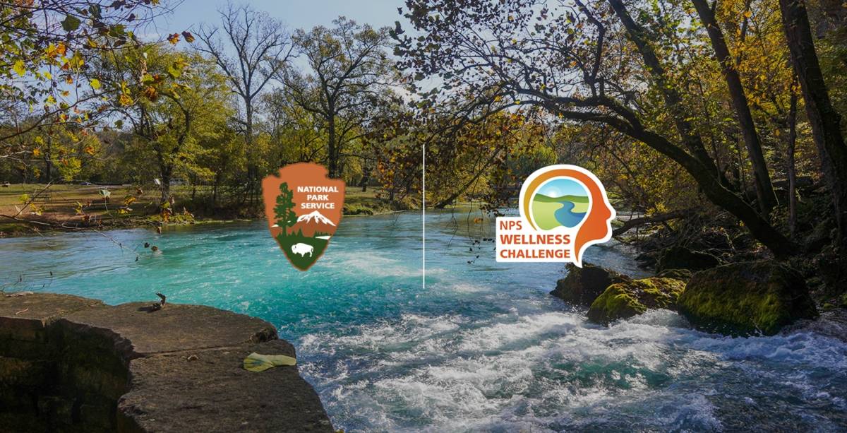 NPS Wellness Challenge - Paradigm