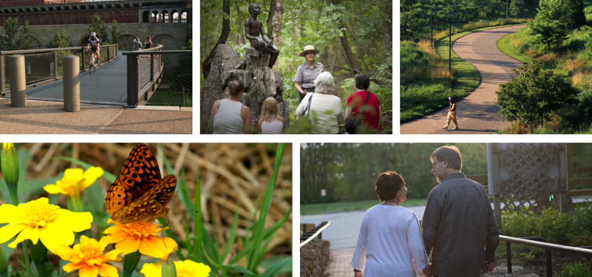 NPS Wellness Challenge - Paradigm New Media Group