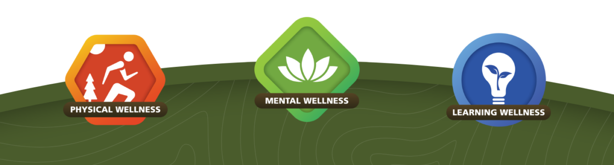 NPS Wellness Challenge - Paradigm New Media Group