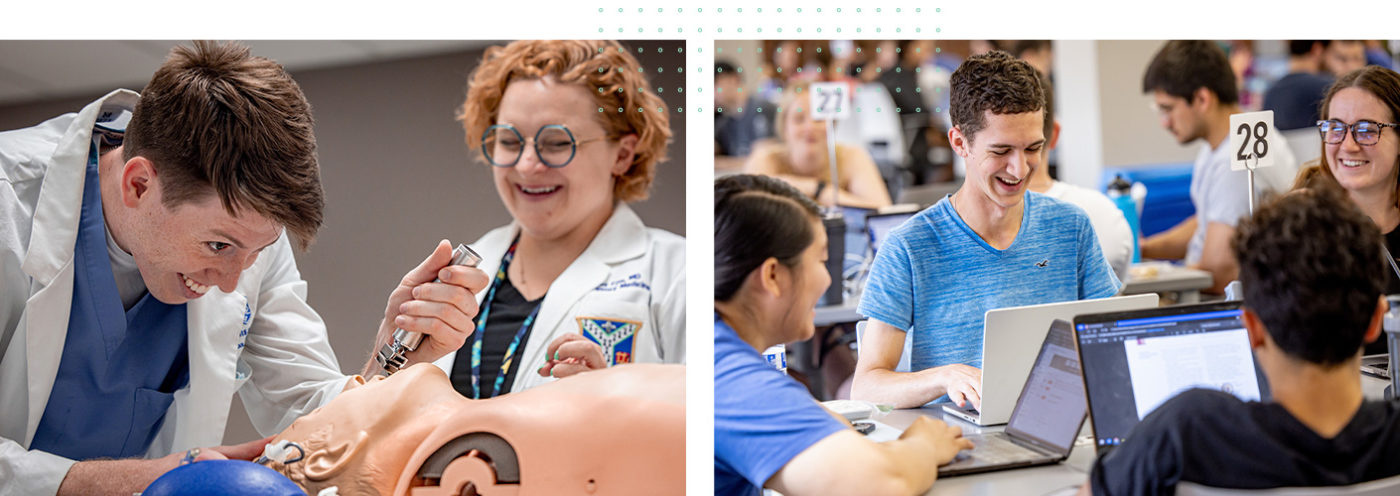 Saint Louis University School of Medicine - Paradigm